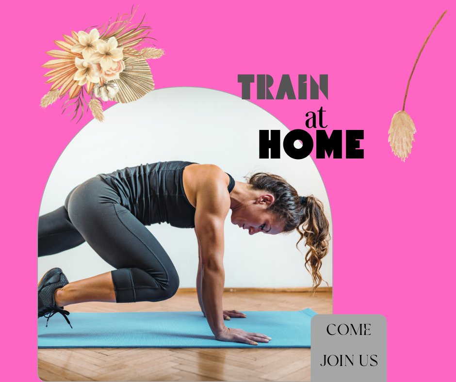 PTFit ZOOM Group - Empowering Women Through Health & Fitness